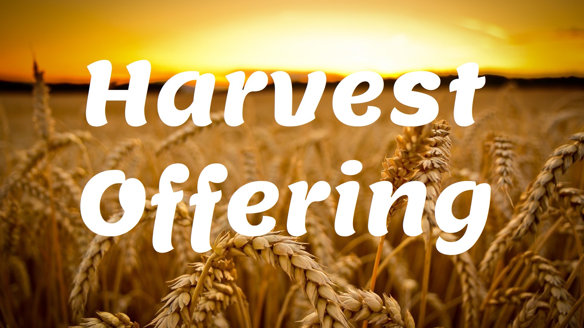 Harvest Time Offering – Enon Church